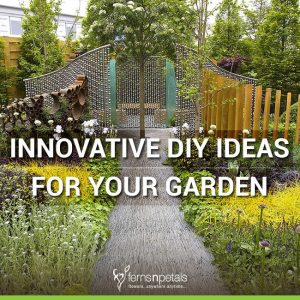 6 Innovative DIY Ideas For Your Garden - Ferns N Petals