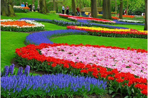 The Top 5 Flower Festivals Held Across The World | FNP