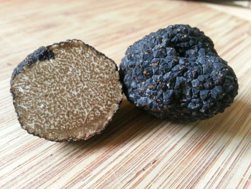 Did You Know Truffle Grows Underground? | FNP