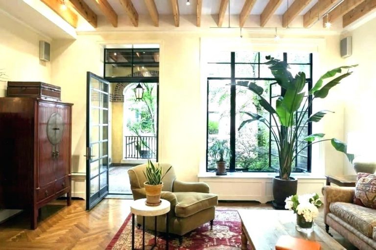 8 Creative Arrangements for your Indoor Plants | FNP