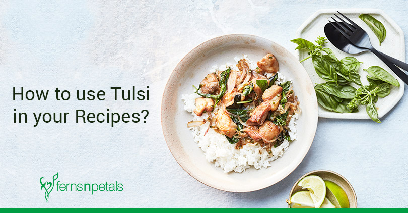 7 Great Ways to use Tulsi in your Recipes - Ferns N Petals
