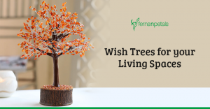 Beautiful Wish Trees to Adorn your Living Spaces | FNP