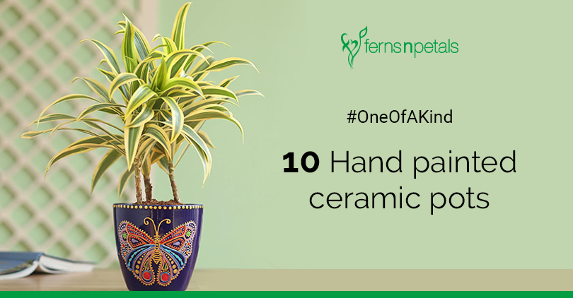 10 One of a Kind Hand Painted Ceramic Pots | FNP