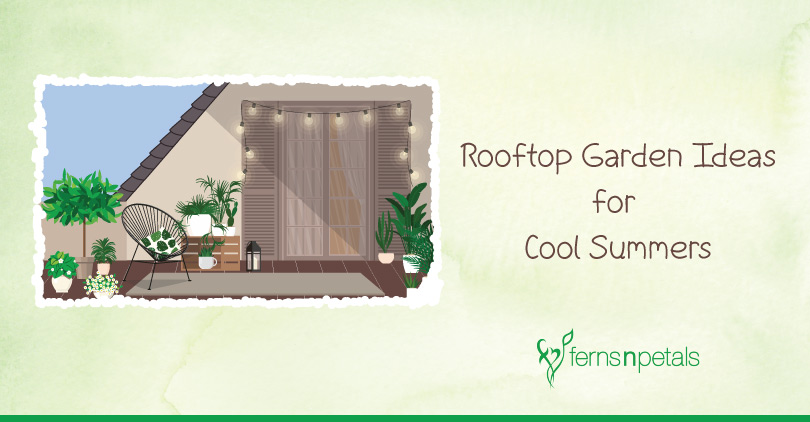 Vertical & Rooftop Gardens to Keep Cool | FNP