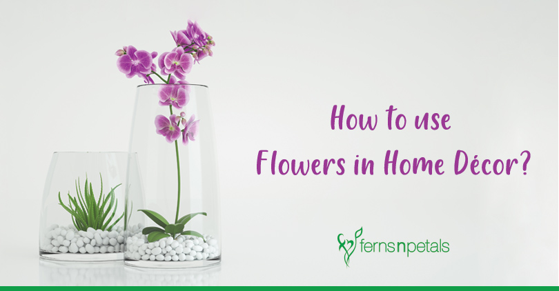 How to use Flowers in Home Decor? | FNP