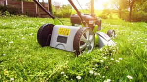 7 Water-saving Tips for your Garden | FNP