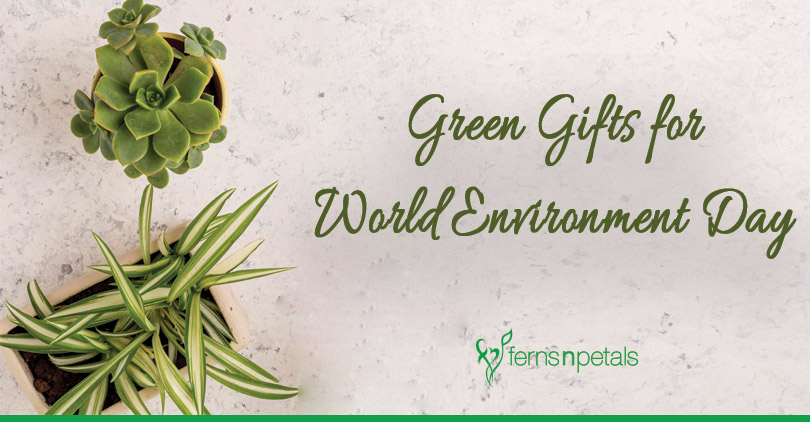 Top 8 Plants for World Environment Day | FNP