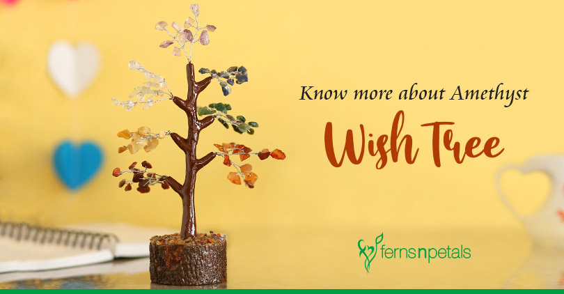 Know more about Amethyst Wish Tree | FNP