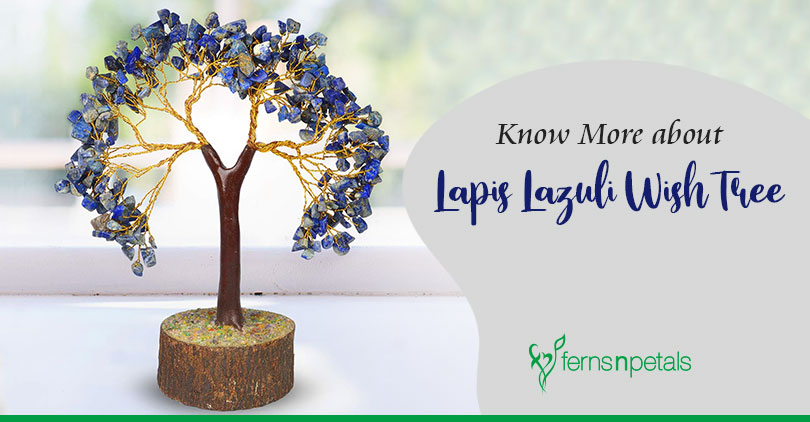 Know More about Lapis Lazuli Wish Tree | FNP