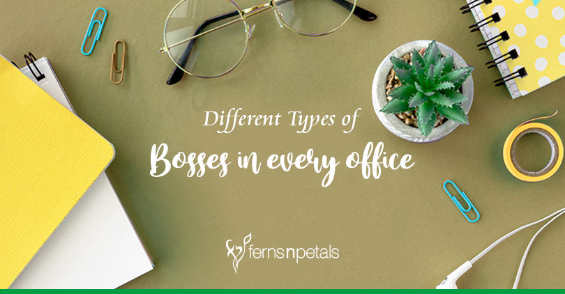 Different Types of Bosses in every office | FNP