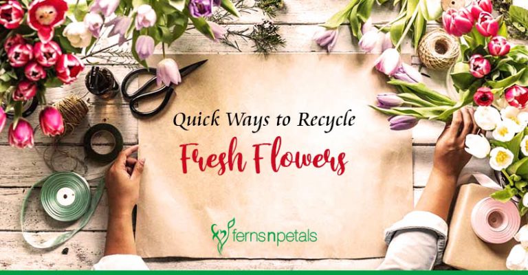 Quick Ways to Recycle Cut Flowers at Home | FNP