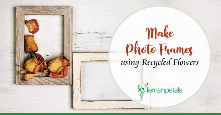 How to Make Photo Frames using Recycled Flowers? - Ferns N Petals