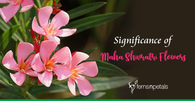 Flowers in Shiv Pooja: Their Significance | FNP
