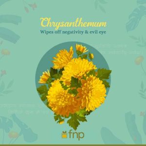 Which Flowers Are Used on Ganesh Chaturthi? | FNP