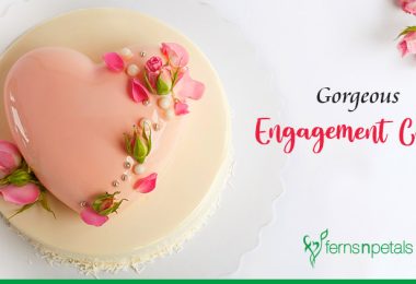 My Bitter Sweet Relationship With Cakes - Ferns N Petals