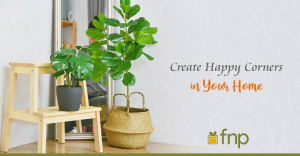 How Can You Create Happy Corners in Your Home? | FNP