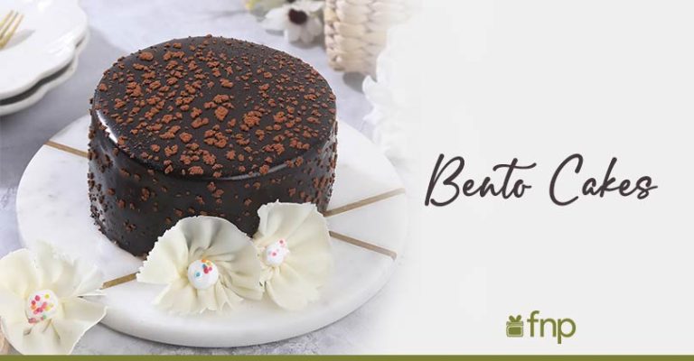 Explore Different Flavours of Bento Cakes | FNP