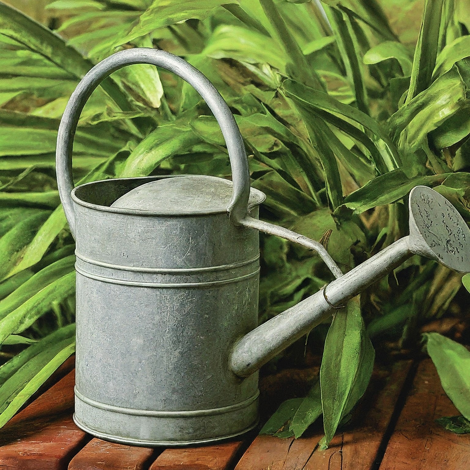 Top 10 Gardening Tools you must have for Home Gardening