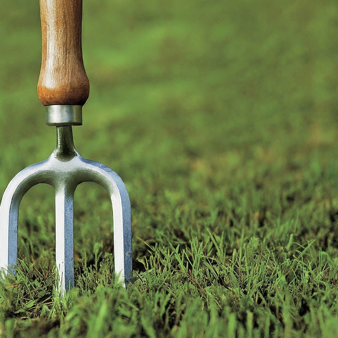 Top 10 Gardening Tools you must have for Home Gardening
