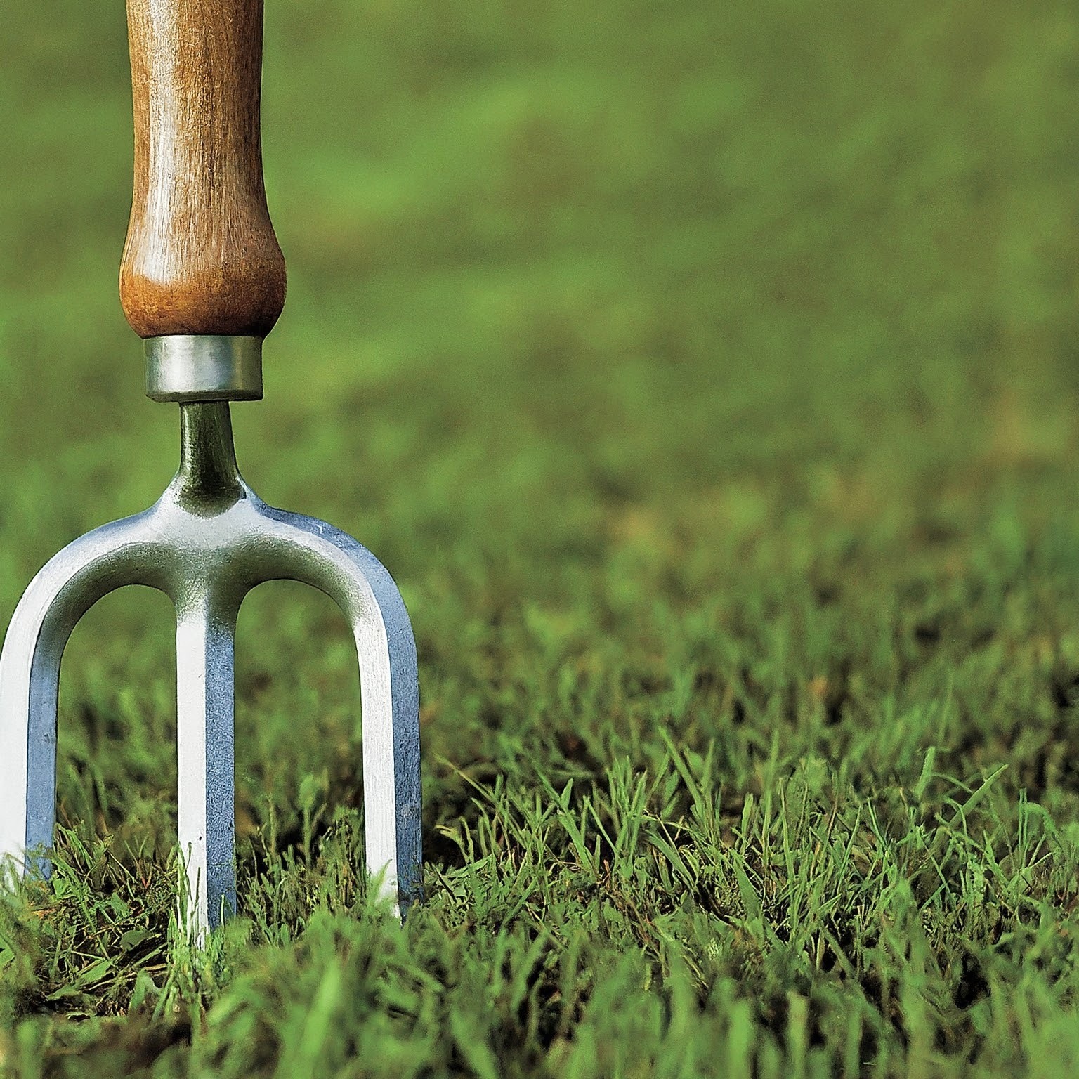 Top 10 Gardening Tools you must have for Home Gardening
