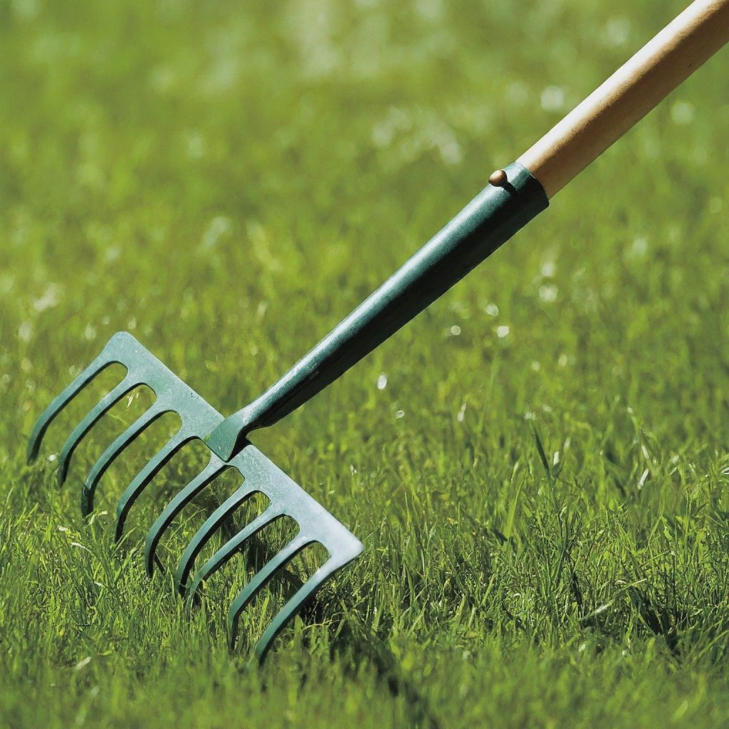 Top 10 Gardening Tools you must have for Home Gardening