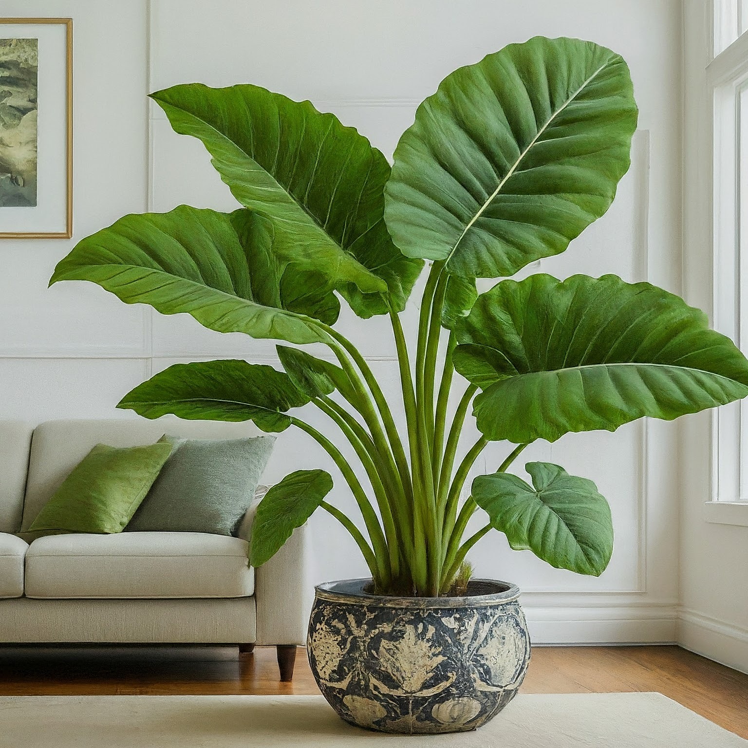Good Luck Plants for Every Room in Your Home | FNP