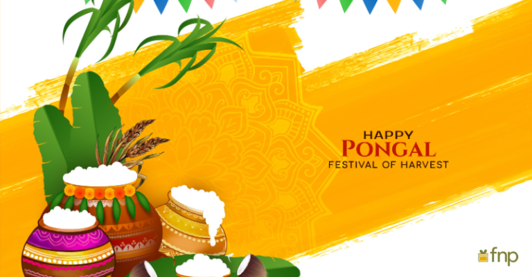 Pongal Attire: Traditional Clothing Ideas to Celebrate in Style