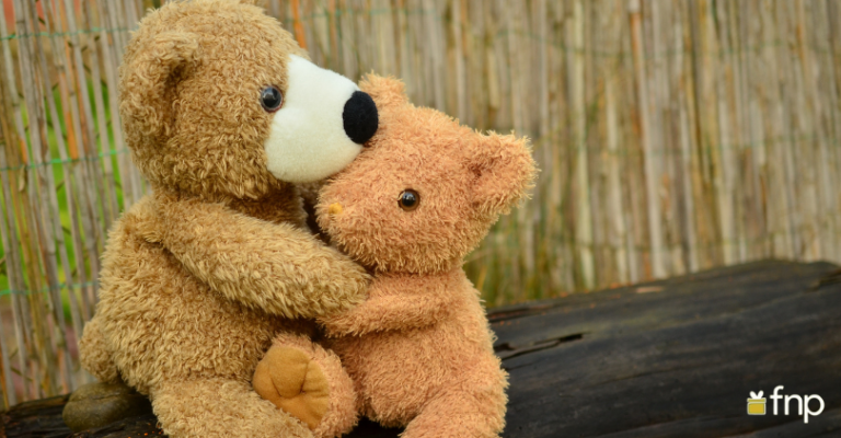 Teddy Day 2025: History & Significance | FNP